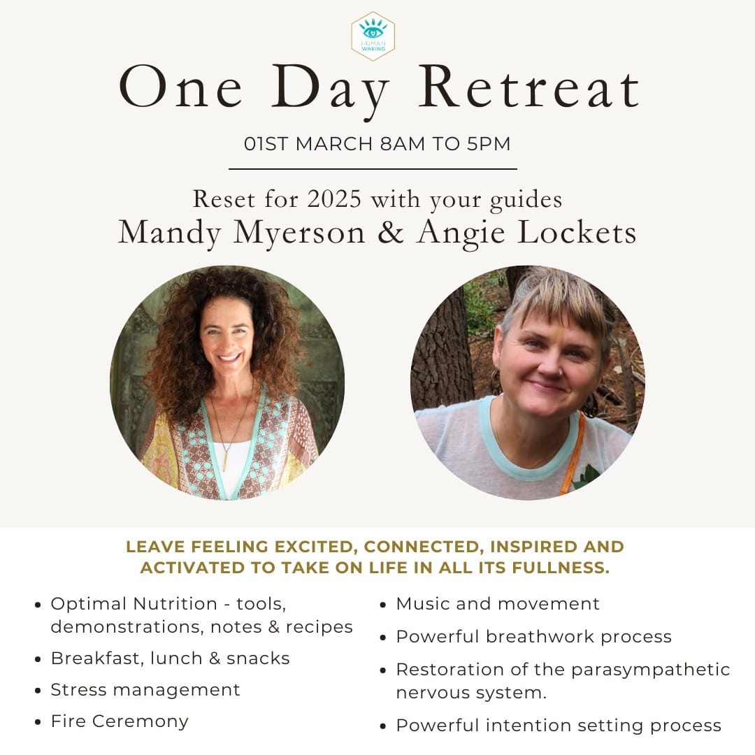 One Day Transformation Retreat - Holistica