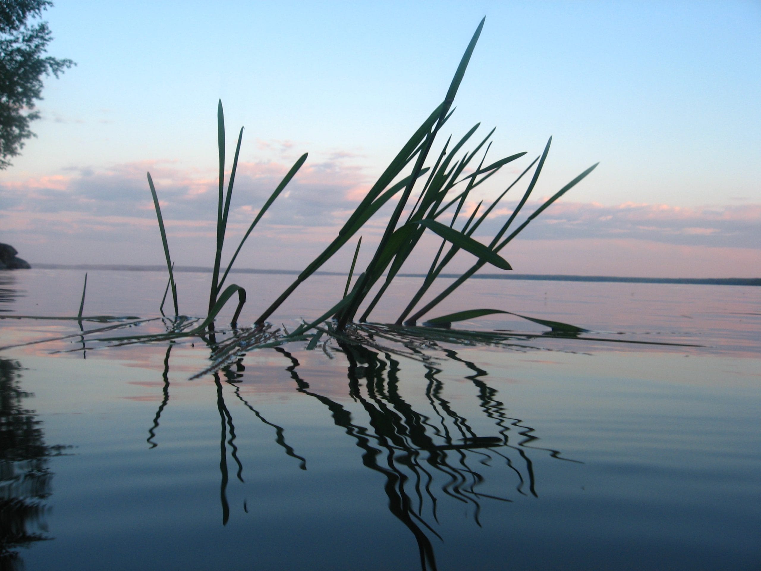 JP Le Roux - Integrative Life Coaching - Holistica